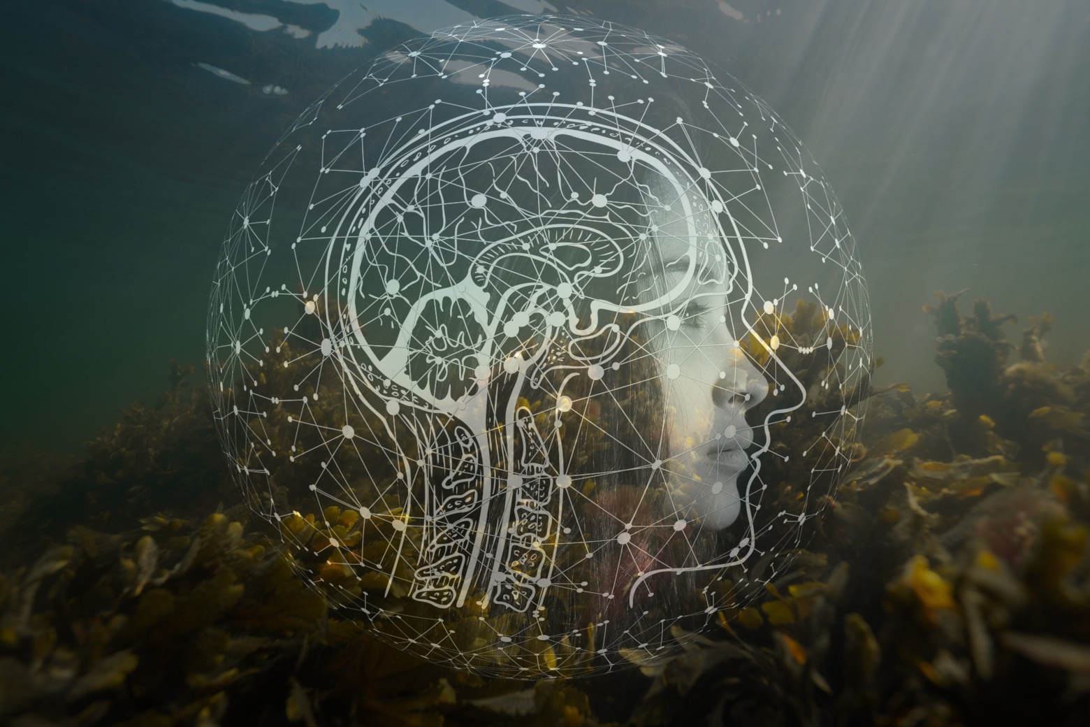 CRM - Coastal Research & Management - RecAl